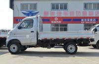 China Direct Single Row 4x2 Wheel Slab Type Mini Cargo Truck with EURO 5 Emission Standard for sale
