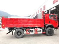 China Customized 4x4 Drive Desert Off-Road Engineering Dump Truck with Normal Cruise Control for sale