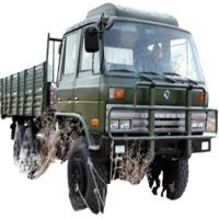 China 10T 12T 15T All Wheel Drive Desert Diesel Off Road Truck With ESC And Large Capacity for sale