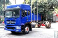 China Customized 4X4 Truck Manual for Normal Driver's Seat and Maximum Torque Nm of 500-1000Nm for sale