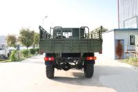 China Top-Performing and Dongfeng 4X4 Off-Road Cargo Truck for Wedding Party Event Decoration for sale