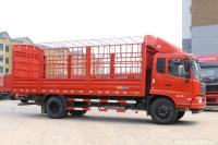 China 10Ton Heavy Duty Off-Road Cargo Truck with 180HP Diesel Engine and Automatic Transmission for sale