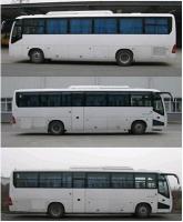 China Dongfeng City Bus 10-33 Seat Customize Energy Bus with Electric Motor for sale