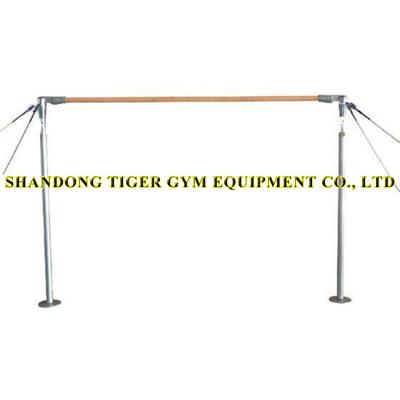 China Gymnastics Equipment Gymnastics Uneven Bar for Children for sale