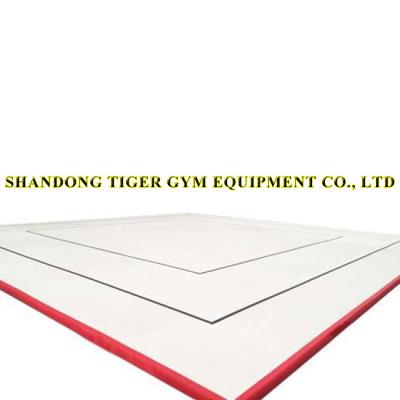 China Gymnastics Equipment Gymnastics Aerobic Floor for sale