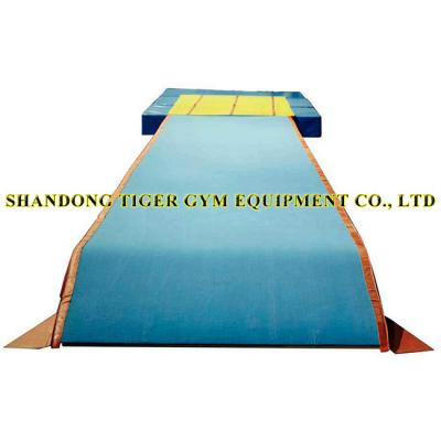 China Gymnastics Equipment Gymnastics Tumble Track for sale