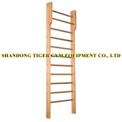 China Gymnastics Equipment Gymnastics Wall Bar for sale