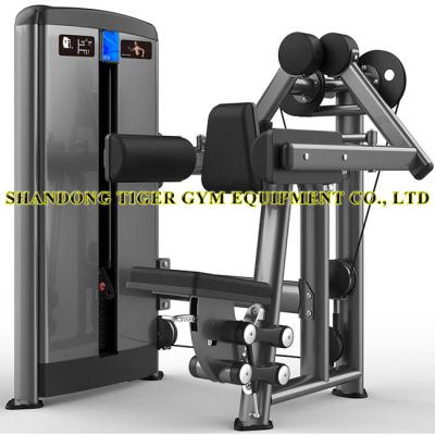 China Fitness Equipment Seated Lateral Raise for exercising deltoid muscles for sale