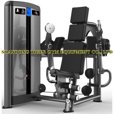 China Fitness Equipment Biceps Curl training machine for exercising biceps brachii for sale