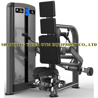 China Fitness Equipment Triceps Extension for exercising Musculus triceps brachii / Musculus serratus anterior for sale