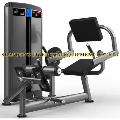 China Fitness Equipment Back Extension training machine for quadratus lumborum / erector spinae / Latissimus Dorsi of back for sale
