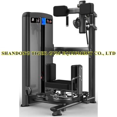 China Fitness Equipment  Rotary Torso Rotation training machine for exercising psoas / abdominal muscles for sale