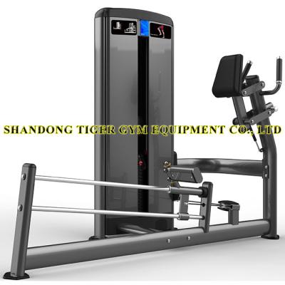 China Fitness Equipment Glute Machine training machine for exercising Gluteus / Quadriceps / gluteus medius / gluteus maximus for sale