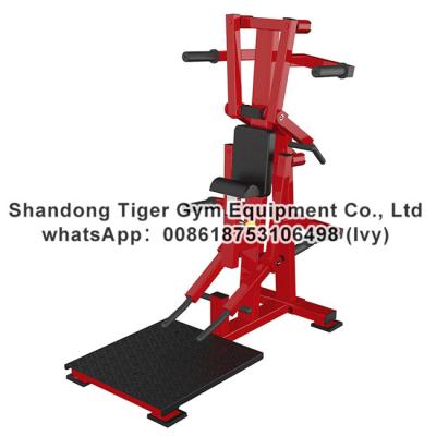 China Strength Fitness Equipment / plate loaded gym fitness equipment / bend fly side lift combination for sale