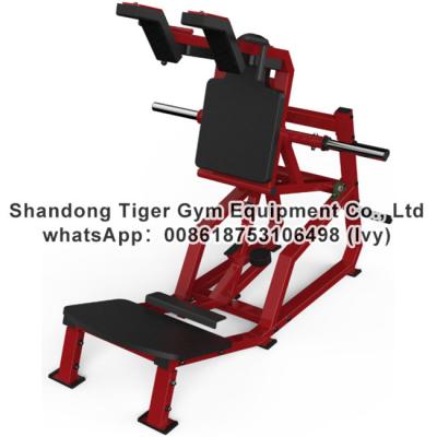 China Strength Fitness Equipment / plate loaded gym fitness equipment / squat machine for sale