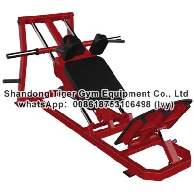 China Strength Fitness Equipment / plate loaded gym fitness equipment / Hack squat (wide angle) for sale