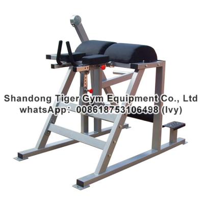 China Strength Fitness Equipment / plate loaded gym fitness equipment / Reverse Hyper Extention for sale