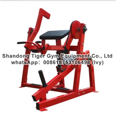 China Strength Fitness Equipment / plate loaded gym fitness equipment / Seated Biceps for sale