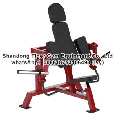 China Strength Fitness Equipment / plate loaded gym fitness equipment / Iso-Lateral biceps machine for sale