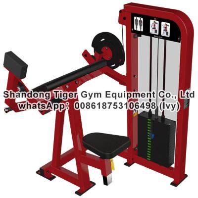 China Single Station Gym fitness equipment machine Biceps Curl exercise machine for sale