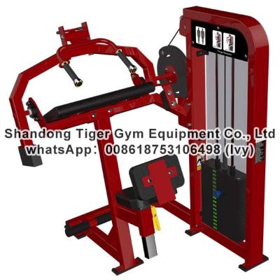 China Single Station Gym fitness equipment machine Triceps Extension exercise machine for sale