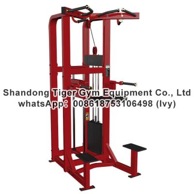 China Single Station Gym fitness equipment machine Assist Dip Chin exercise machine for sale