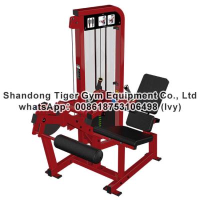 China Single Station Gym fitness equipment machine Seated Leg Curl exercise machine for sale