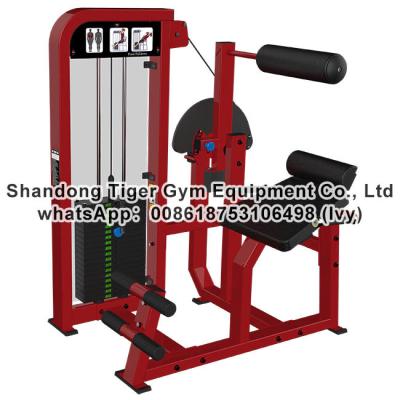 China Single Station Gym fitness equipment machine Back Extension exercise machine for sale