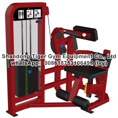 China Single Station Gym fitness equipment machine Abdominal Crunch exercise machine for sale