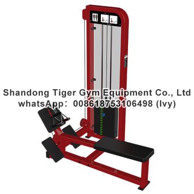 China Single Station Gym fitness equipment machine Low Row exercise machine for sale