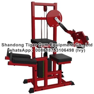China Single Station Gym fitness equipment machine Glute Extension exercise machine for sale