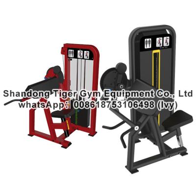 China Single Station Gym fitness equipment machine Biceps / Triceps exercise machine for sale