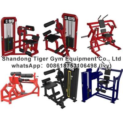 China Gym Fitness Equipment Adjustable Abdominal Crunch / Lower Back / Back Extension exercise machine for sale