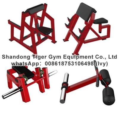 China Gym Fitness Equipment Fore Arm Curl / Seated Arm Curl / Arm curl machine exercise machine for sale
