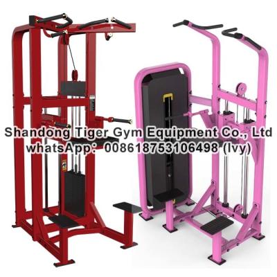 China Gym Fitness Equipment Assist Dip Chin exercise machine for sale