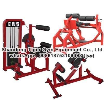 China Gym Fitness Equipment Adjustable Abdominal and Back Extension exercise machine for sale