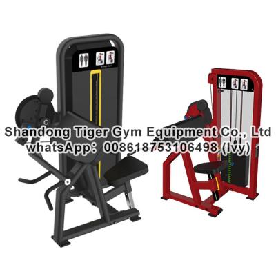 China Gym Fitness Equipment Biceps / Triceps exercise machine for sale