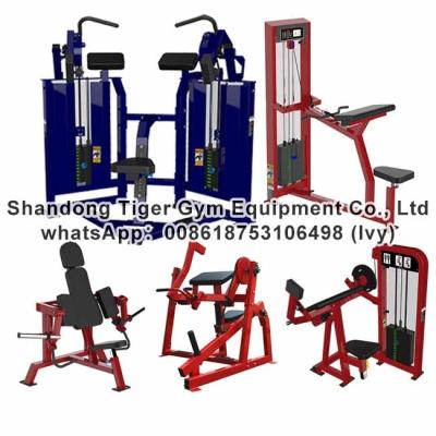 China Gym Fitness Equipment Iso-lateral biceps machine / Seated Biceps /Biceps Curl exercise machine for sale