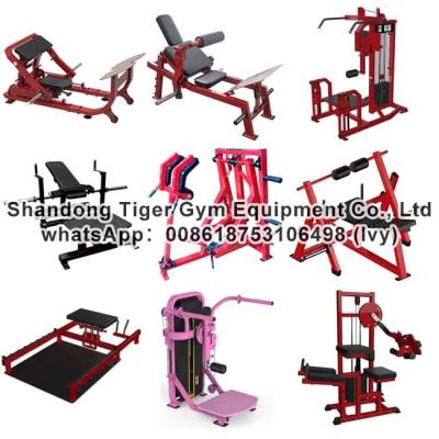 China Gym Fitness Equipment glute machine / Glute Drive / Strength Hip and Glute / Glute Extension / Glute builder machine for sale
