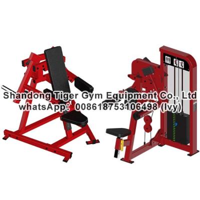 China Gym Fitness Equipment Lateral Raise exercise machine for sale