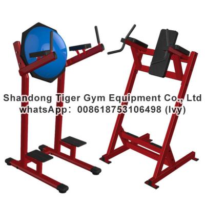 China Gym Fitness Equipment Chin /Dip /Leg Raise exercise machine for sale