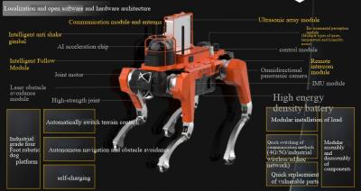 China Industrial patrol robot dog with hazard detection and extreme environment operation capabilities featuring autonomous charging for sale