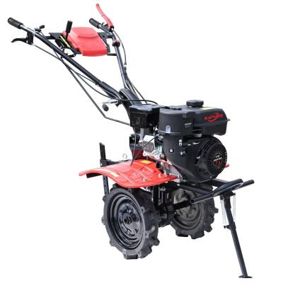 China Affordable Mini Power Tiller 5hp 7hp 9hp Petrol Cultivator Machine for Orchard Garden for sale