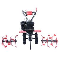 China Affordable Mini Power Tiller 5hp 7hp 9hp Petrol Cultivator Machine for Orchard Garden for sale