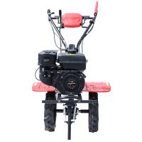 China Affordable Mini Power Tiller 5hp 7hp 9hp Petrol Cultivator Machine for Orchard Garden for sale