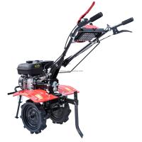 China Affordable Mini Power Tiller 5hp 7hp 9hp Petrol Cultivator Machine for Orchard Garden for sale