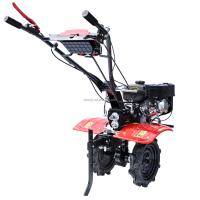 China Affordable Mini Power Tiller 5hp 7hp 9hp Petrol Cultivator Machine for Orchard Garden for sale