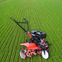 China 4 Stroke Customized Color Petrol Mini Weeder Small Plower Cultivator Soil Tiller 5/7/9 HP for sale