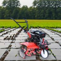 China 4 Stroke Customized Color Petrol Mini Weeder Small Plower Cultivator Soil Tiller 5/7/9 HP for sale