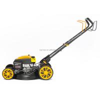 China Petrol Gas Lawn Mower 21in 5.5hp 190cc Handle Landscaping Shrub Cutter Grass Box 65L for sale
